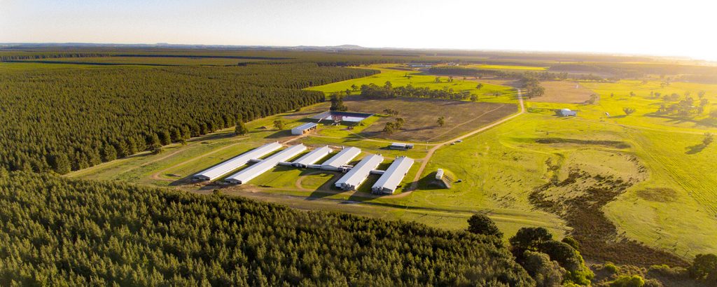 The Myora Genetic Advantage | MyoraMyora