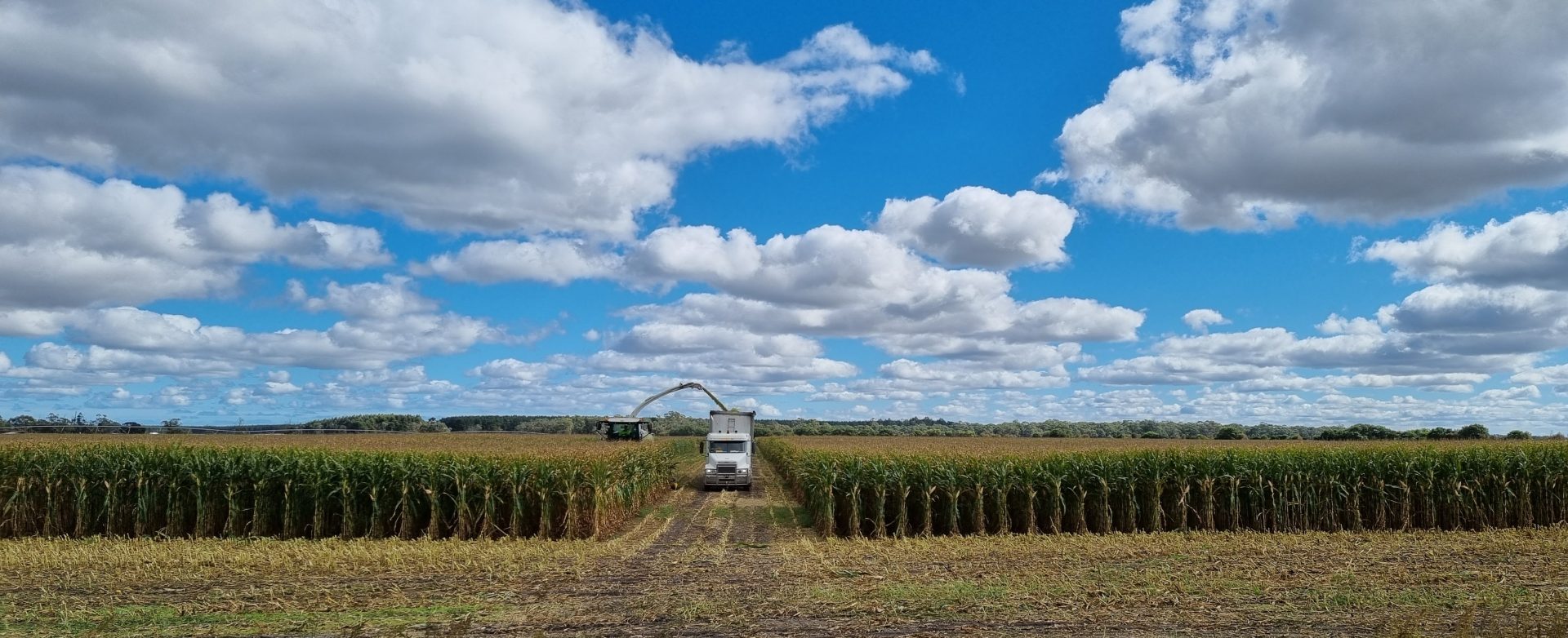 Myora’s Vision | MyoraMyora