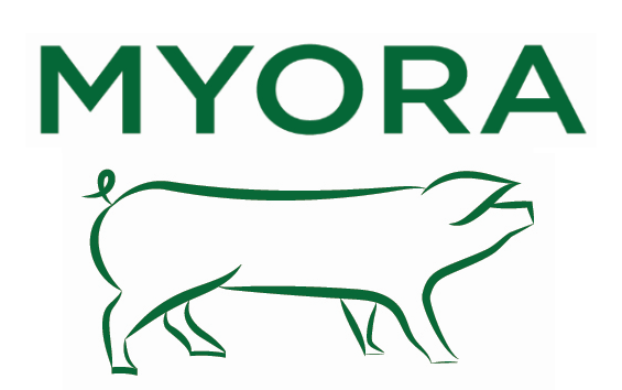 Myora with Pig | MyoraMyora